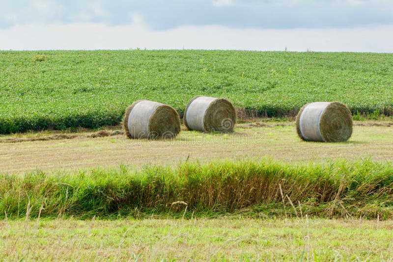 Round Bales Sitting in the Field Stock Image - Image of farmland, fall ...