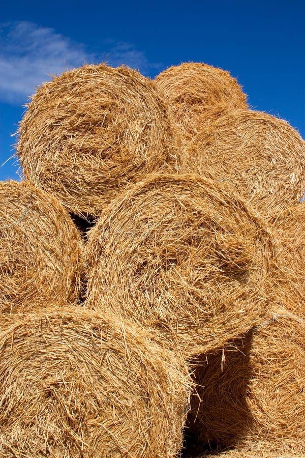 Stack of straw bales stock image. Image of brown, land - 34274379