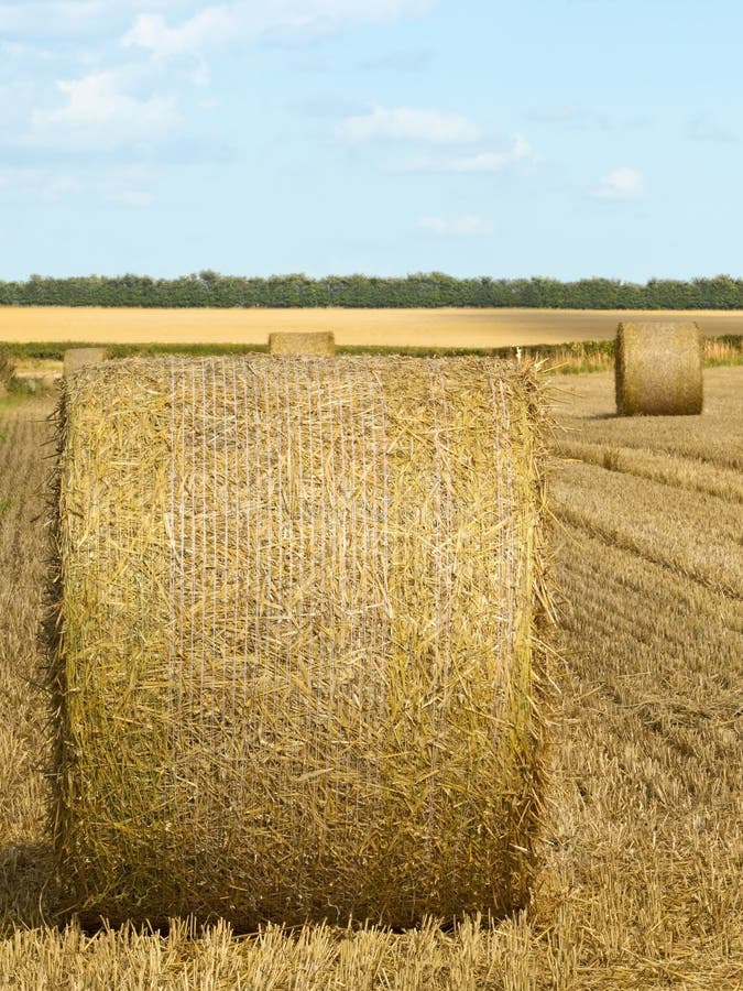 Round bales in summer stock photo. Image of field, farming - 10618704