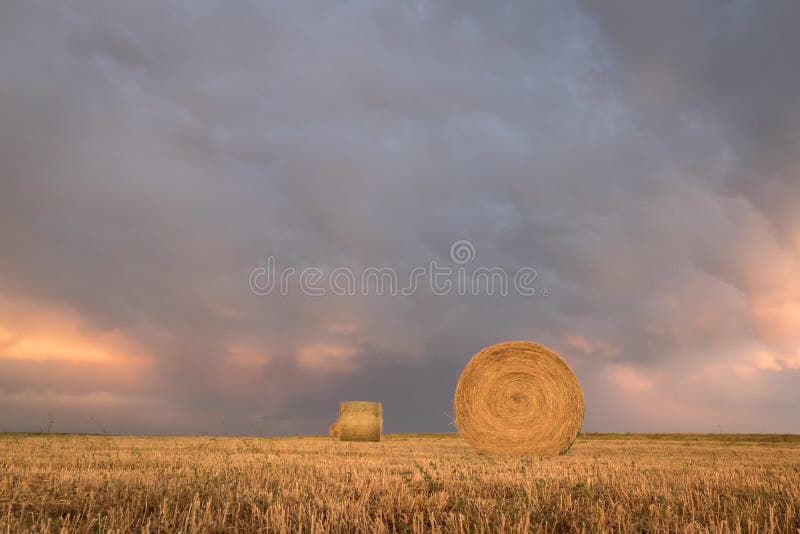 Round Bales in Wide Open Farm Field Stock Photo - Image of round, green ...