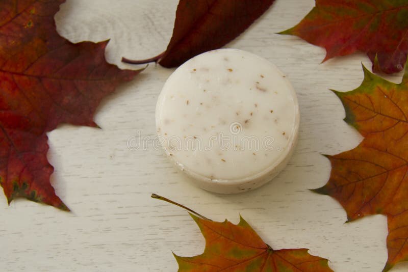 Bar of Round Scrub Soap, with Maple Leaves Stock Image - Image of ...