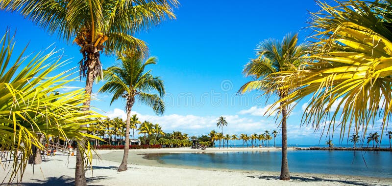 The Round Beach at Matheson Hammock County Park Miami Stock Image ...
