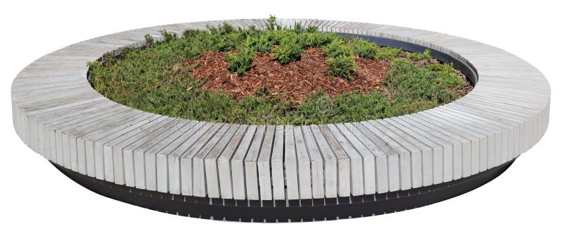 Round Bench with Growing Juniper for Relaxation Isolated Stock Photo ...