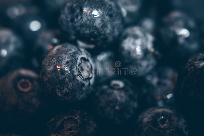 Round Black Fruits Picture. Image: 106363863