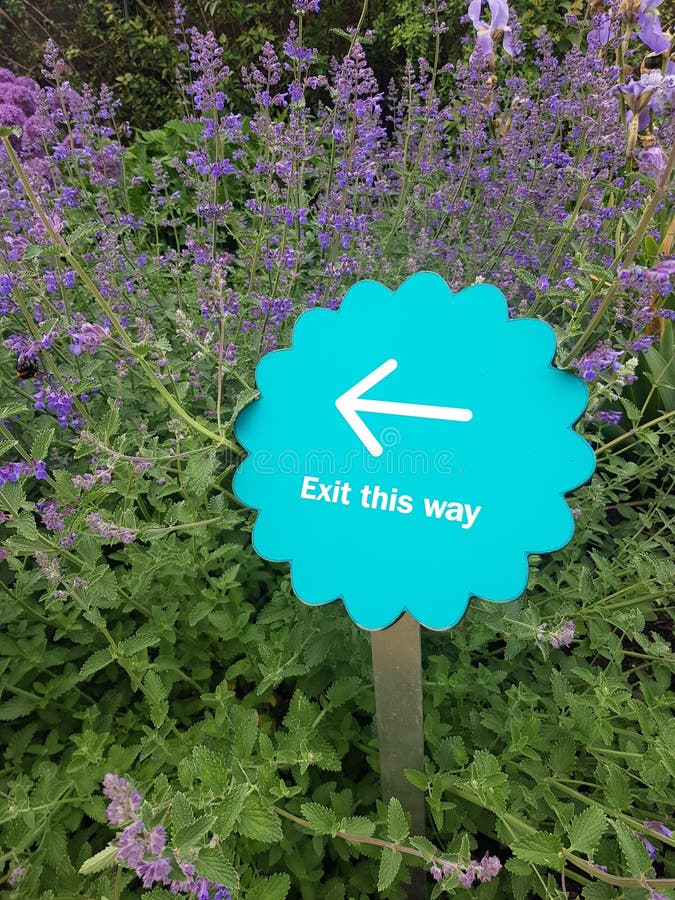 Round Blue Exit this Way Sign. Stock Image - Image of green, exit ...