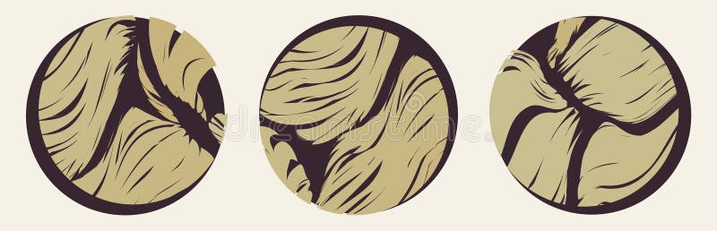 Set of Round Borders, Frames with Abstract Wavy Pattern. Vintage ...