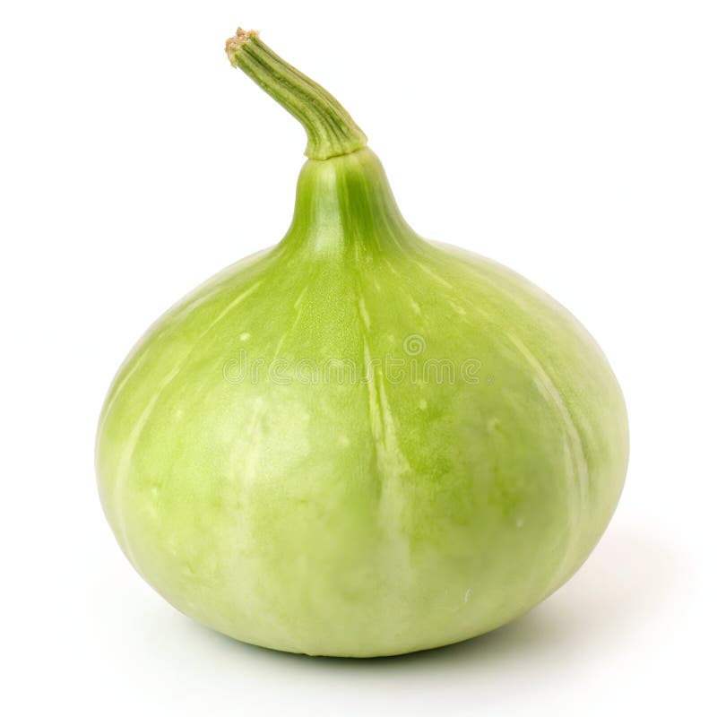 Round Bottle Gourd Isolated on White Background Stock Illustration ...