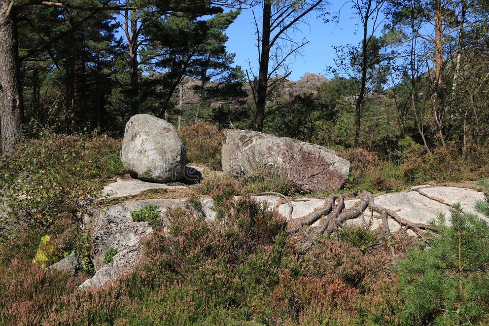 Round Boulder in a Forest Near Hellvik Stock Photo - Image of round ...