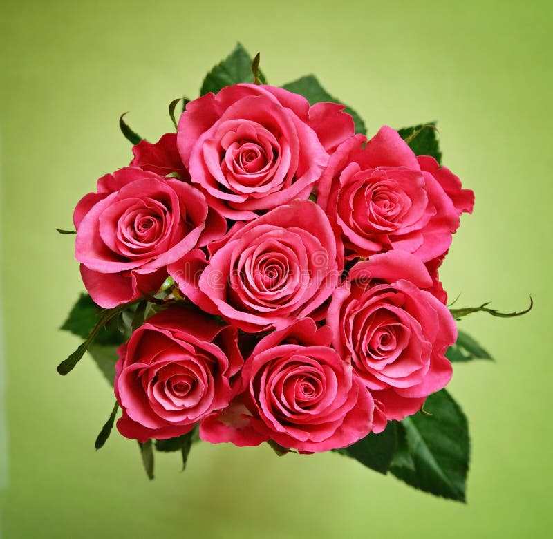 Round Bouquet of Dark Red Roses Stock Image - Image of marriage ...