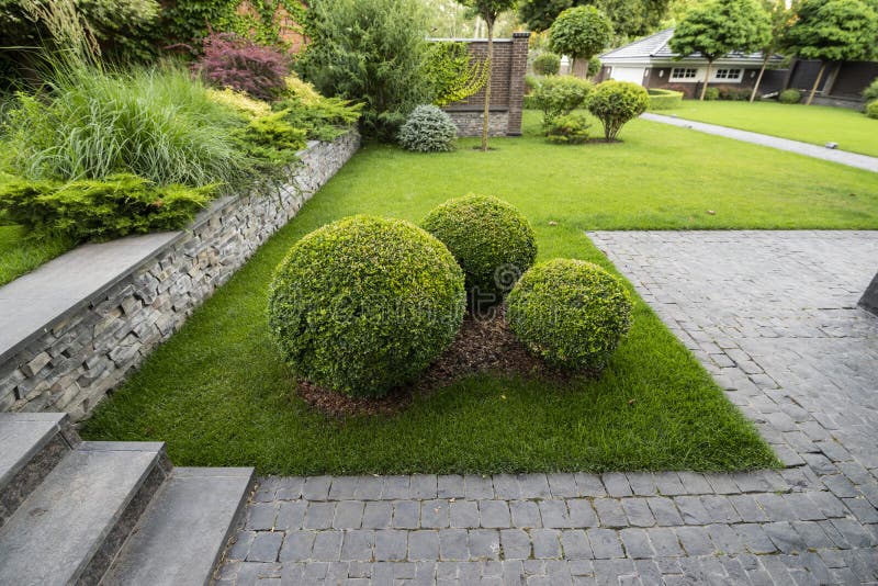 Round Boxwood Bushes in Landscape Design Stock Photo - Image of ...