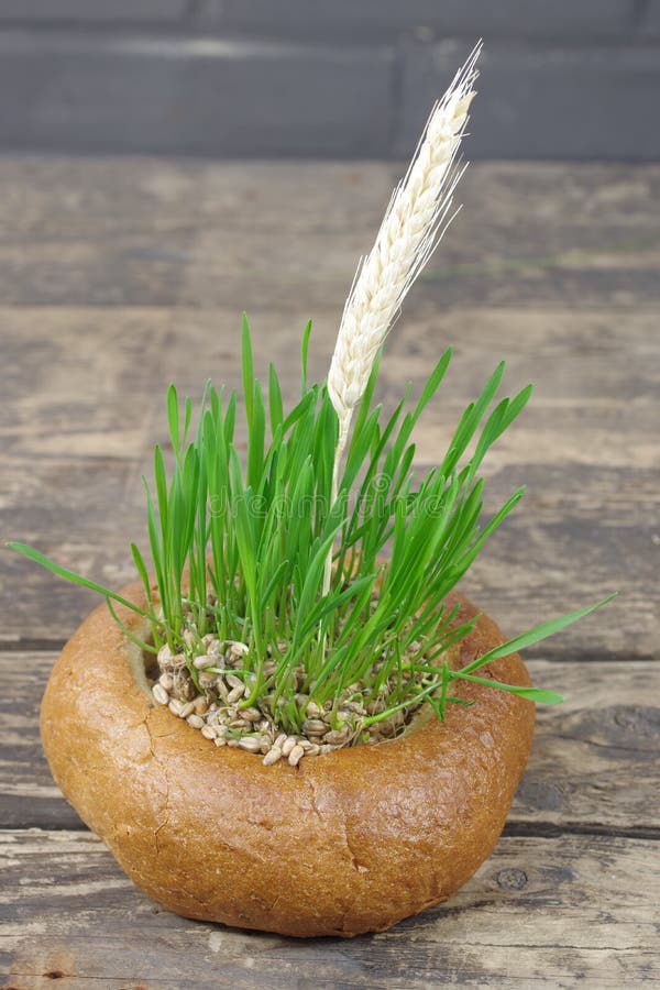 Round bread stock image. Image of bread, wood, round - 91845627