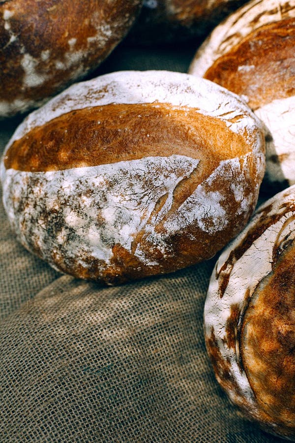 Round bread over a cloth stock image. Image of corn - 181065207