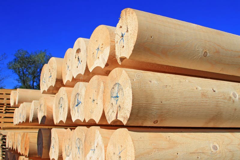 The Round Calibrated Building Bar from a Tree. Stock Image - Image of ...