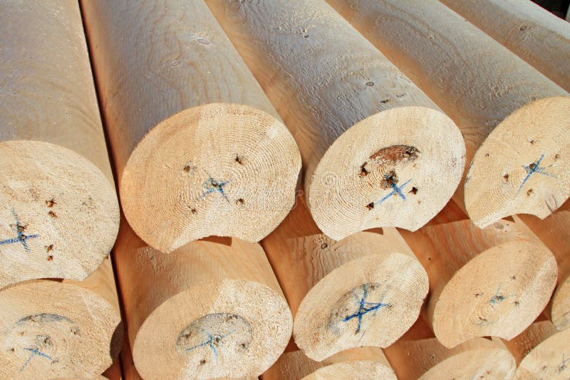 The Round Calibrated Building Bar from a Tree. Stock Image - Image of ...