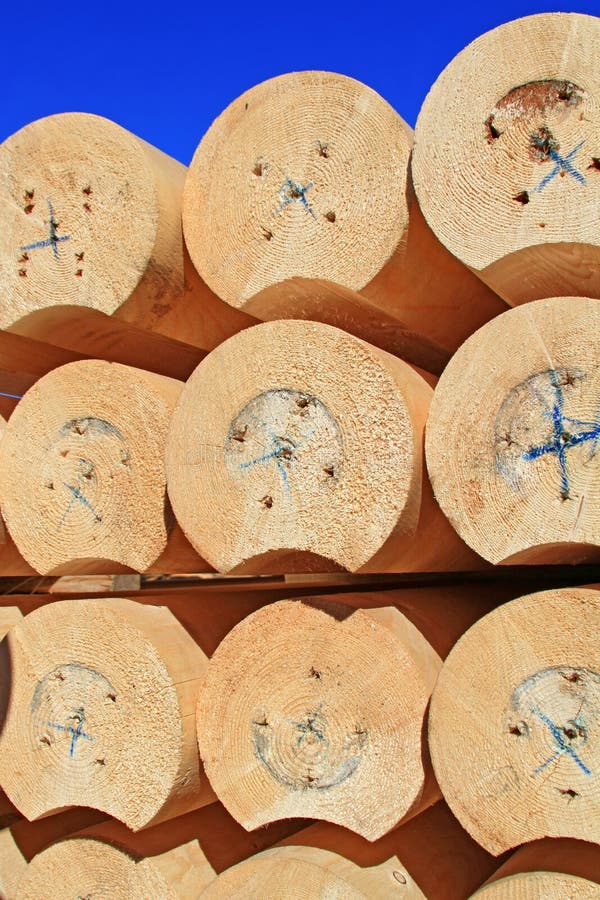 The Round Calibrated Building Bar from a Tree Stock Photo - Image of ...