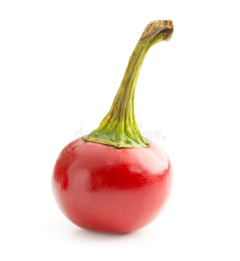 Round red chili peppers. stock image. Image of kitchen - 80499245