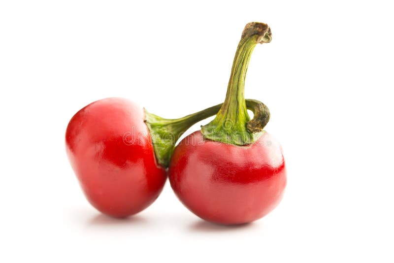 Round red chili peppers. stock image. Image of kitchen - 80499245