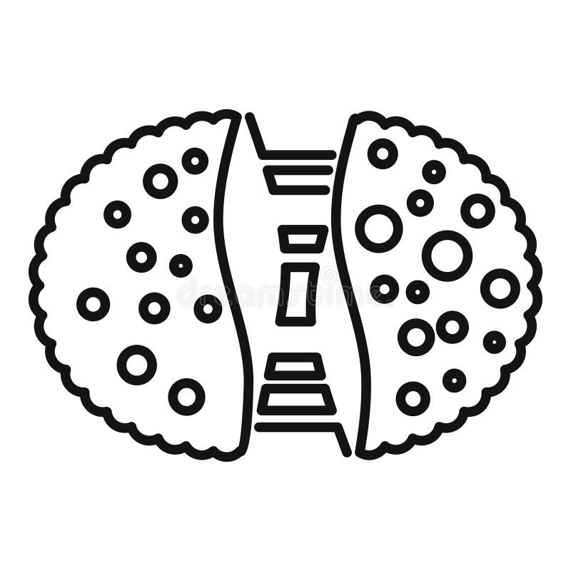 Round Chocolate Chip Cookie Splitting Open Revealing Gooey Chocolate ...
