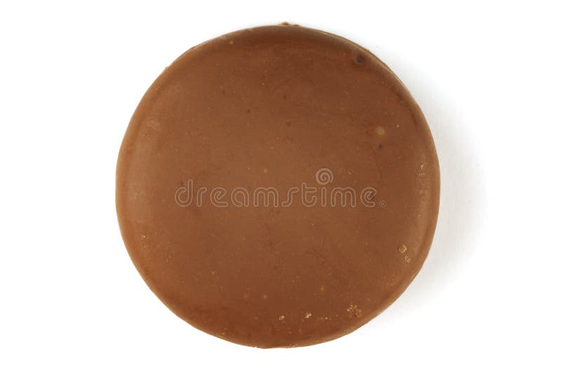 Round Chocolate Chip Cookies Isolate Stock Image - Image of homemade ...