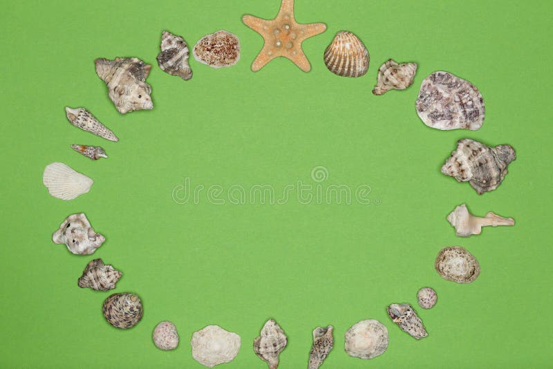 Round Circle with Different Sea Shells Stock Photo - Image of prepared ...