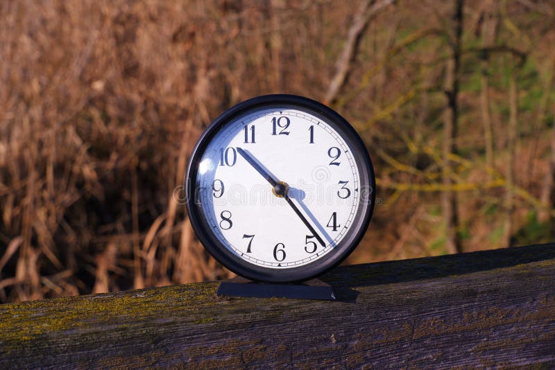 Round Clock on the Ground in the Nature Stock Photo - Image of summer ...