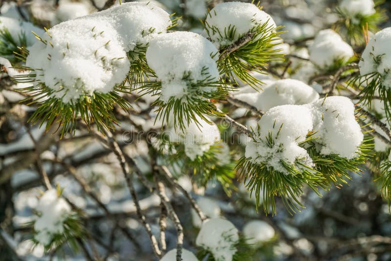 Clumps of Snow after Clearing the Footpath Stock Photo - Image of ...