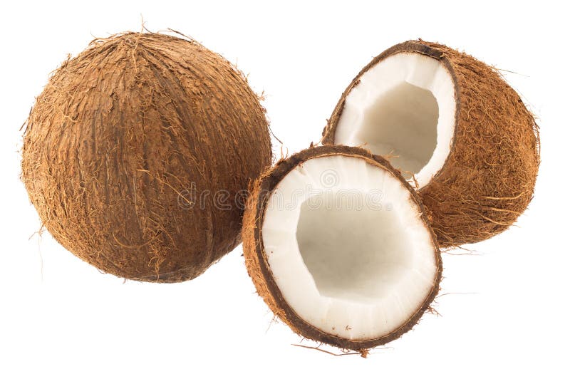 Wet Round Coconut Mature Delicious One-piece Beach Asia Thailand ...