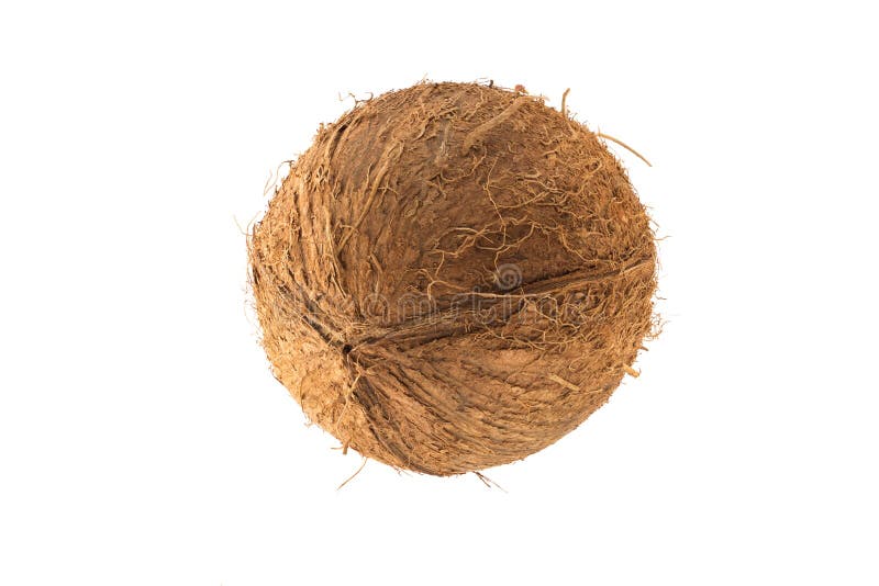 Wet Round Coconut Mature Delicious One-piece Beach Asia Thailand ...