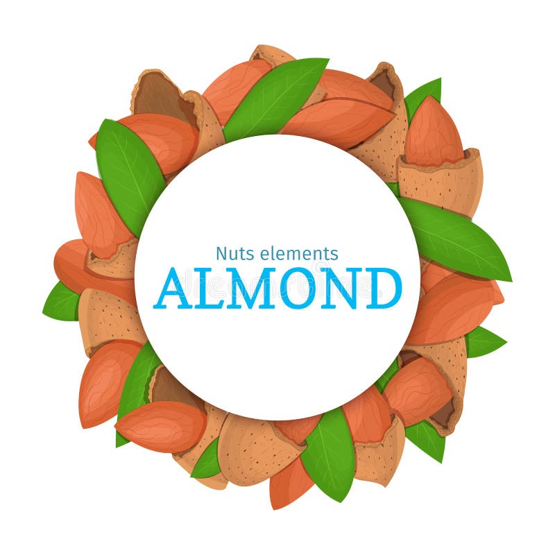 Round Colored Frame Composed of Almond Nut. Vector Card Illustration ...