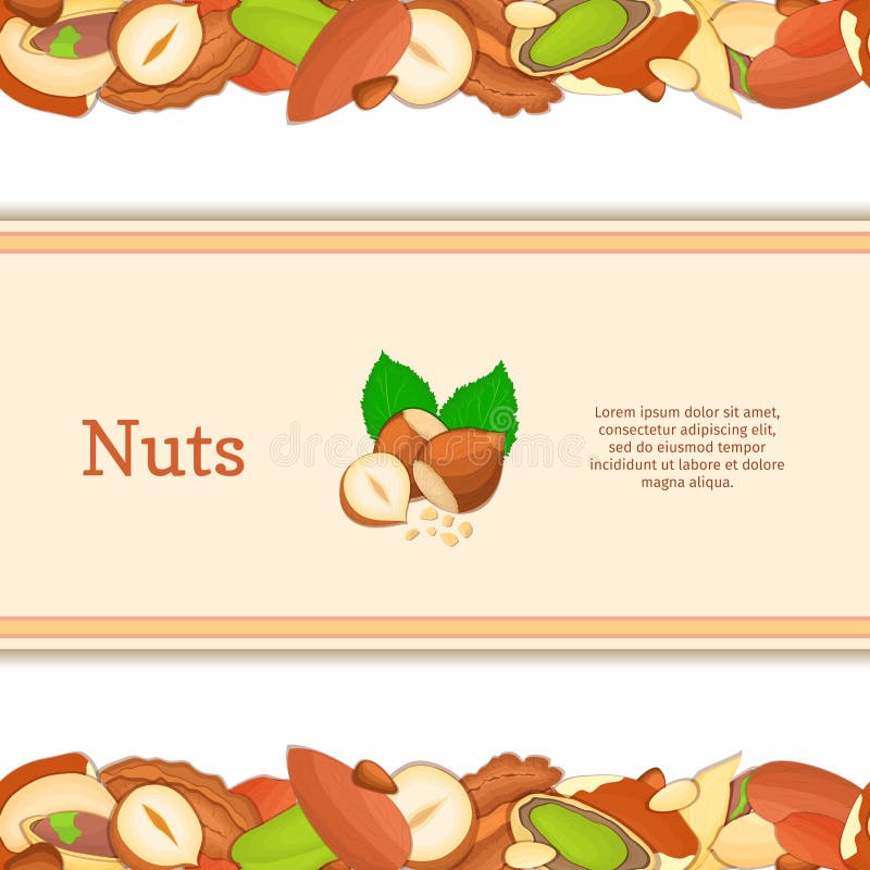 Peanut Nut Horizontal Seamless Border. Vector Illustration Card Top And ...