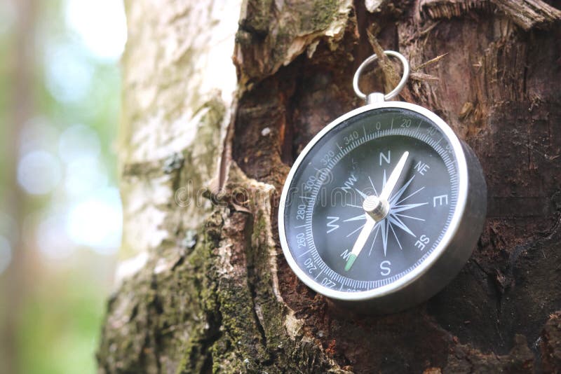 Round Compass on Natural Background Stock Image - Image of direction ...