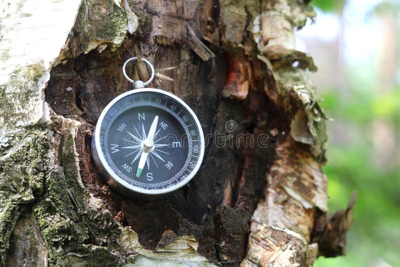 Round Compass on Natural Background Stock Image - Image of closeup ...