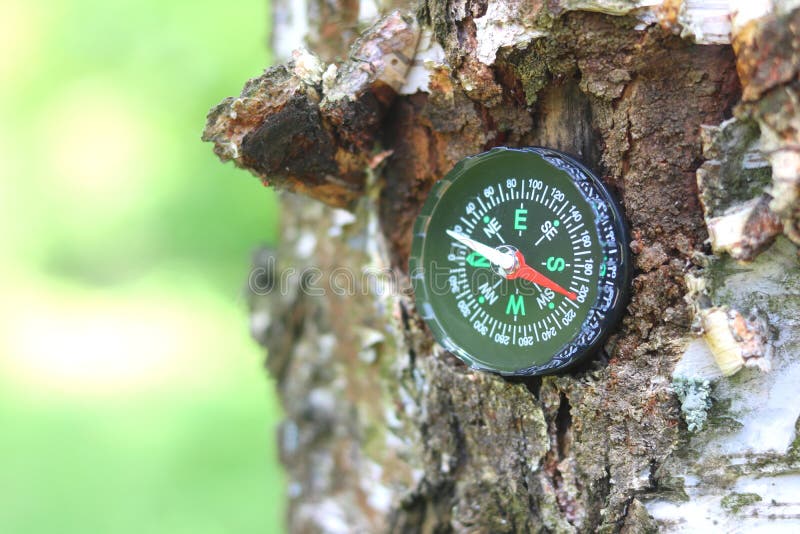 Round Compass on Natural Background Stock Photo - Image of conceptual ...