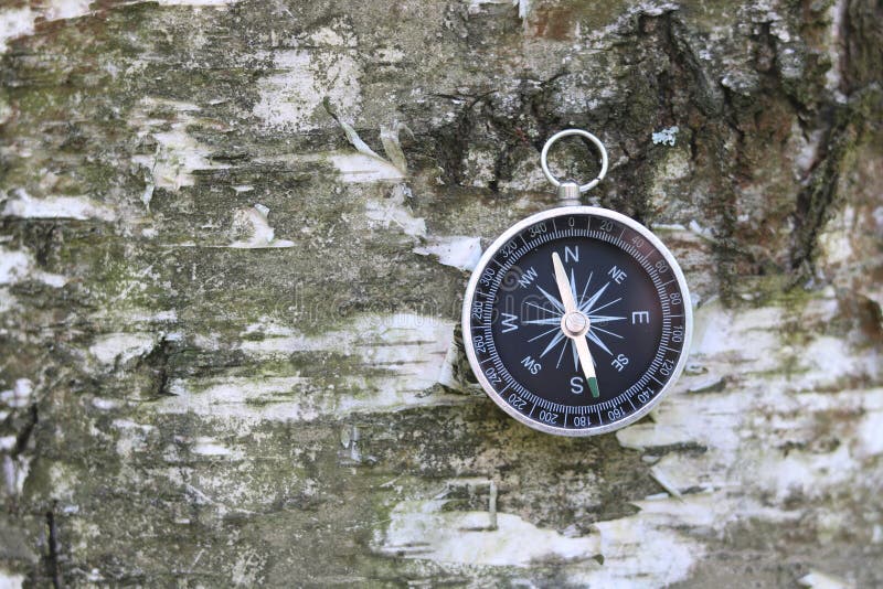 Round Compass on Natural Background Stock Image - Image of forest ...