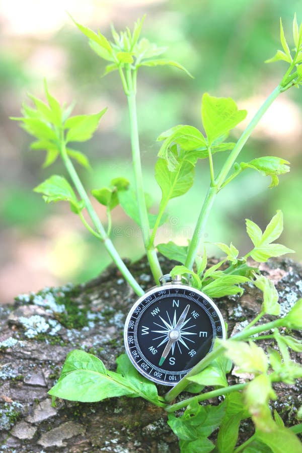 Round Compass on Natural Background Stock Image - Image of concept ...
