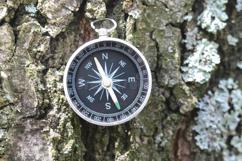 Round Compass on Natural Background Stock Image - Image of closeup ...