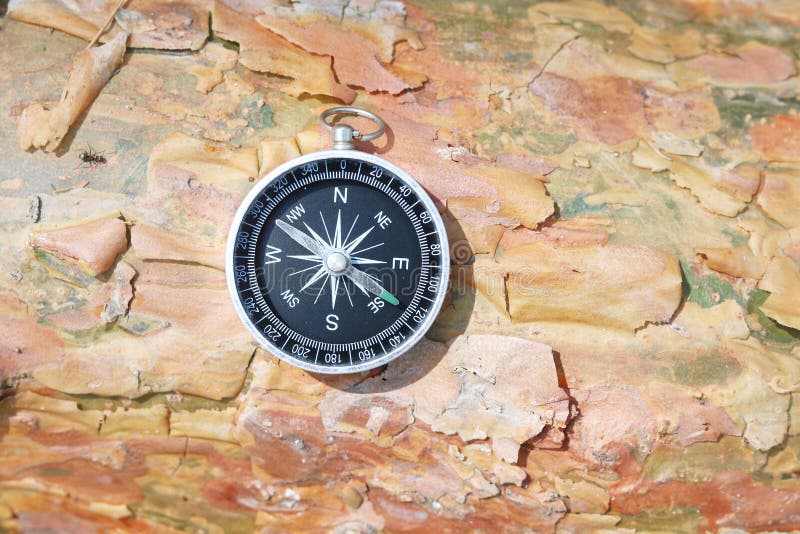 Round Compass on Natural Background Stock Photo - Image of longitude ...