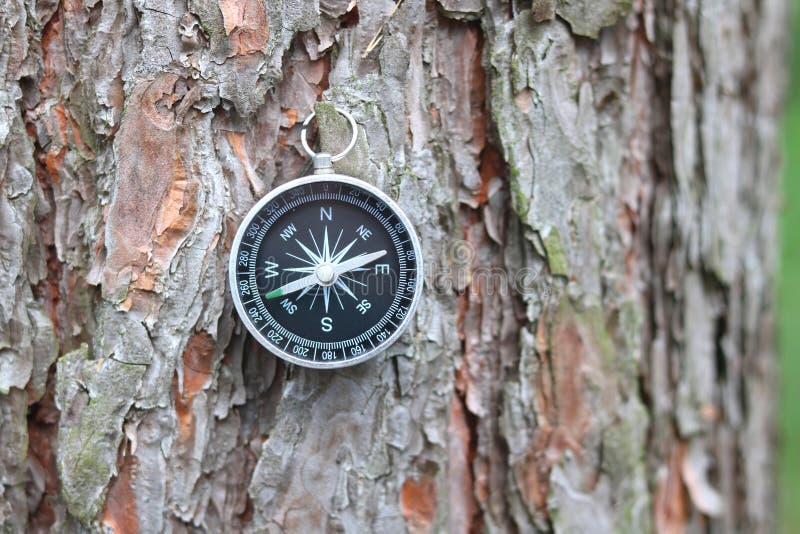 Round Compass on Natural Background Stock Image - Image of concept ...