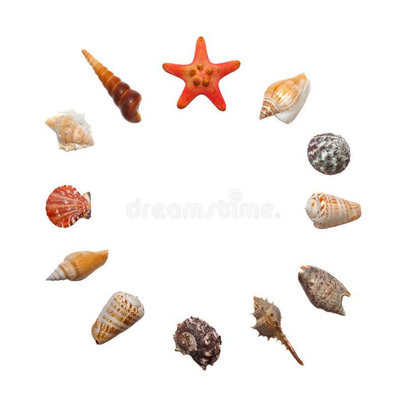 Round Composition with Sea Shells and Starfish Isolated on White ...