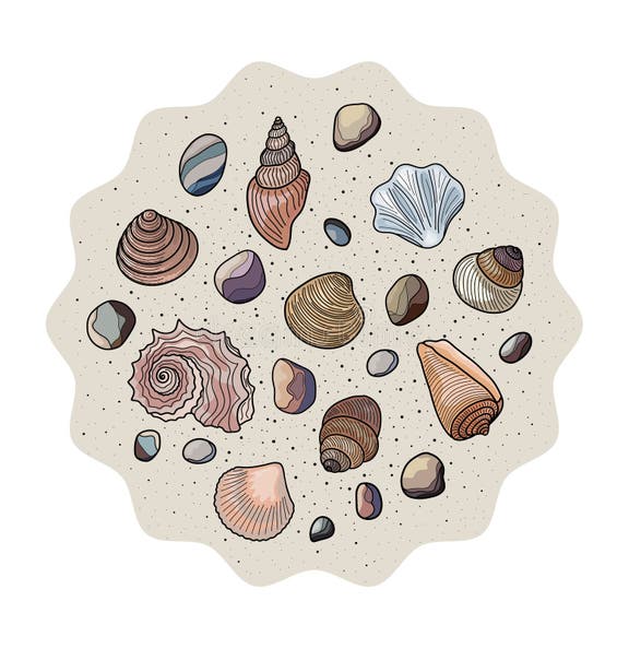 A Round Composition of Shells, a Set of Shells. Stock Vector ...