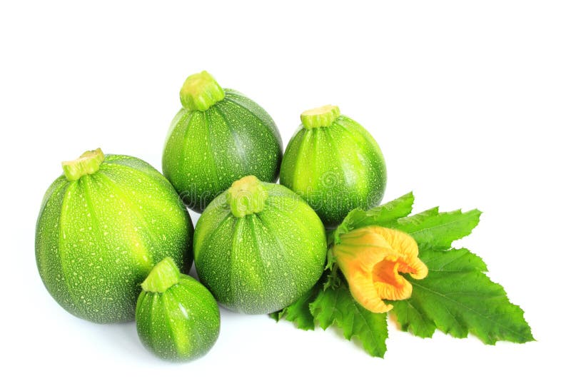 Round courgettes stock image. Image of format, isolated - 43366777