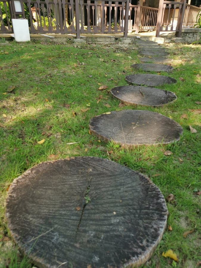 Round Cutout Wooden Walk Pathway in on the Ground Stock Photo - Image ...