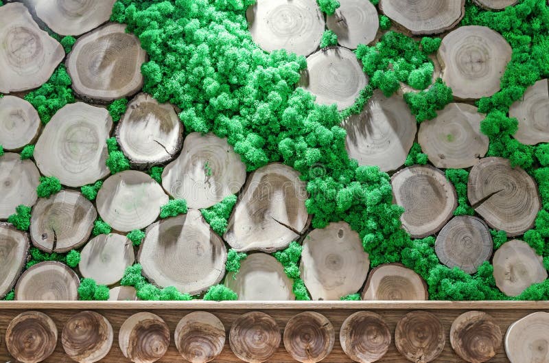 Round Cuts of Trees with Growth Rings and Green Moss. Wall Panel with ...