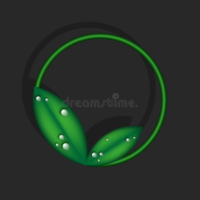 Round 3d Frame with Two Green Leaves and Realistic Dew Drops with ...