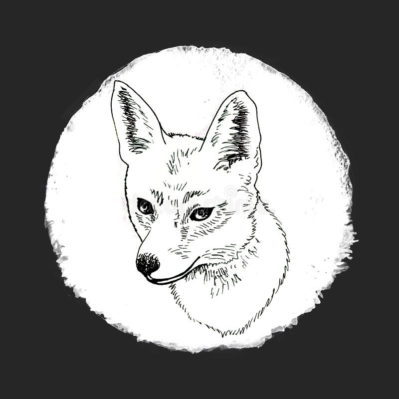 Round Fox Icon Stock Illustrations – 637 Round Fox Icon Stock ...
