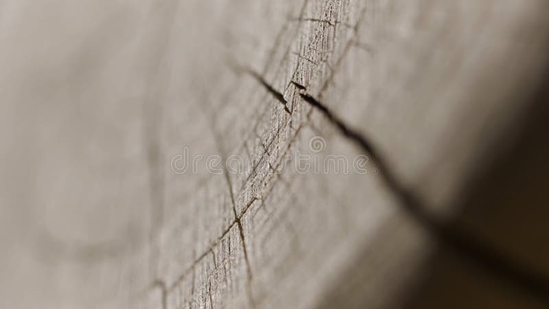 The Round Edge of the Cut Log, Wooden Texture. Action. Close Up of Cut ...