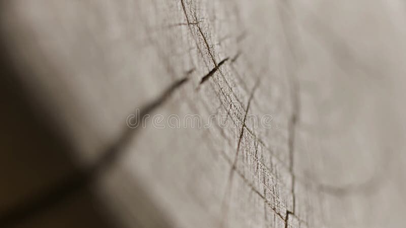 The Round Edge of the Cut Log, Wooden Texture. Action. Close Up of Cut ...