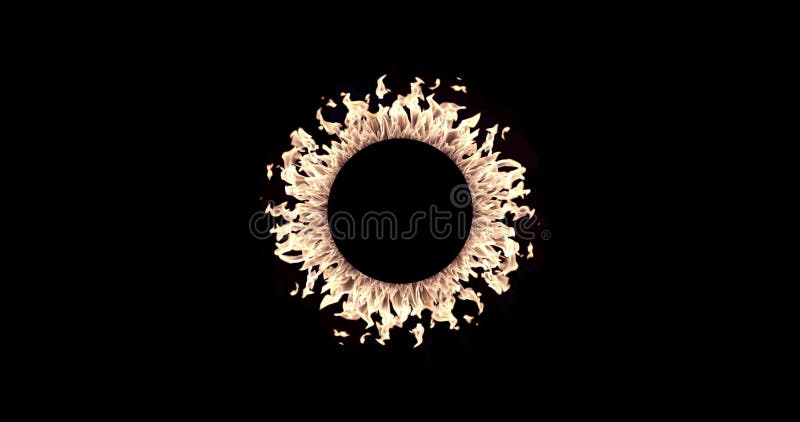 Round Fire Frame Isolated on Black Background Stock Video - Video of ...