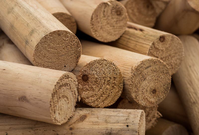 12,662 Round Logs Stock Photos - Free & Royalty-Free Stock Photos from ...