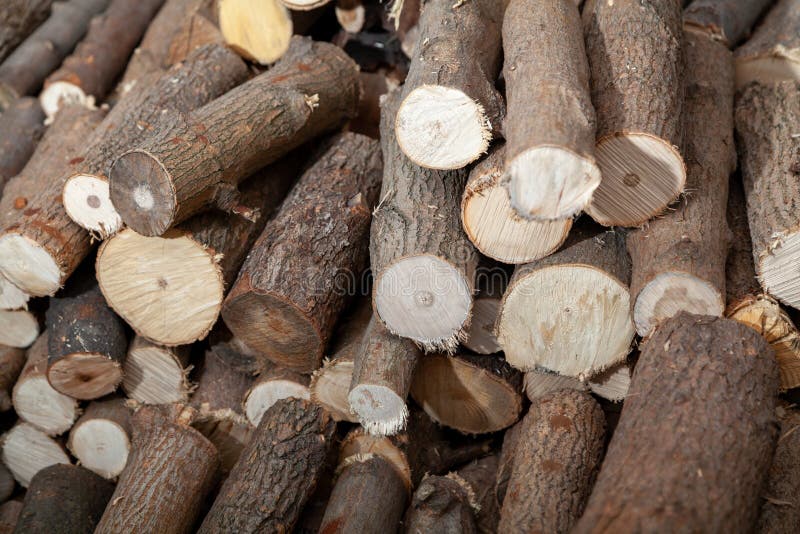 Round Firewood Pieces - Stacked Stock Image - Image of together, nice ...